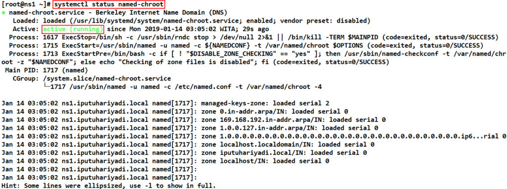Troubleshooting Server DNS BIND dengan fitur Chroot pada CentOS 7 - I Putu Hariyadi .NET